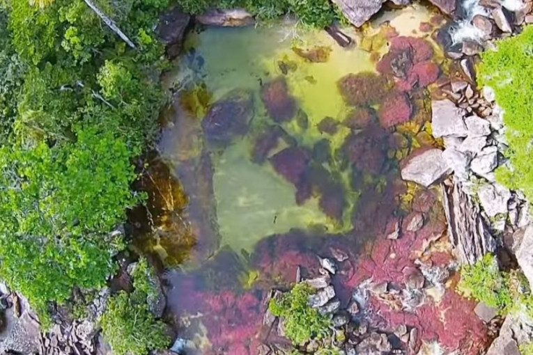 (VIDEO) Ovo je najlepša reka na svetu, teče u pet boja!