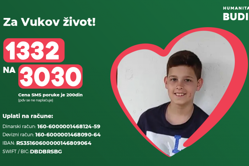 SRBIJO AJMO, SVIM SNAGAMA! Malom Vuku nedostaje 100.000 evra za lečenje ...