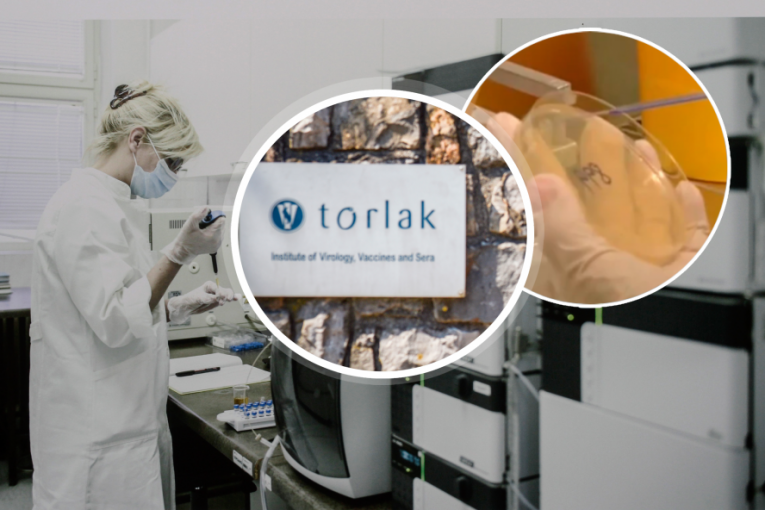 PO OVAJ LEK U "TORLAK" DOLAZE IZ CELOG SVETA! Naš Institut ekspresno ...