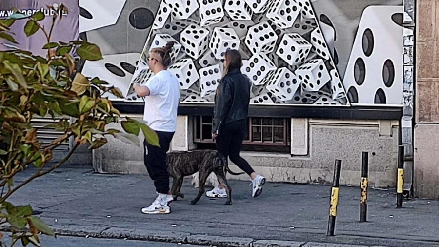 PAPARACO! Rastu smo uhvatili sa novom devojkom, sve je jasno u kakvom ...