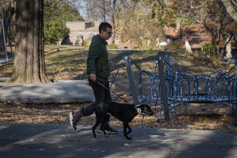 DA LI TREBA UVESTI POREZ NA DRŽANJE PASA? Novi predlog uznemirio ...