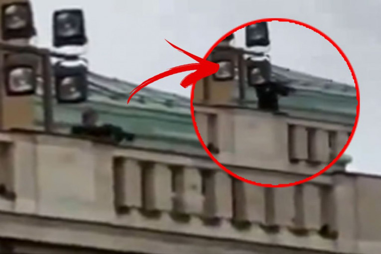 JEDNA STVAR JOŠ JE VELIKA MISTERIJA! Češka policija otkrila detalj o ...