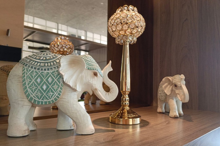 SVI IMAJU FIGURU SLONA KOD KUĆE, A 90 ODSTO JE DRŽI NA POGREŠNOM MESTU ...