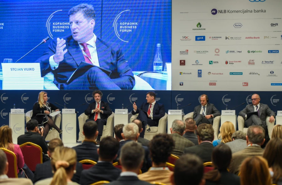 Vujko: Domaće kompanije stub i nosilac u investicionom ciklusu koji nas ...