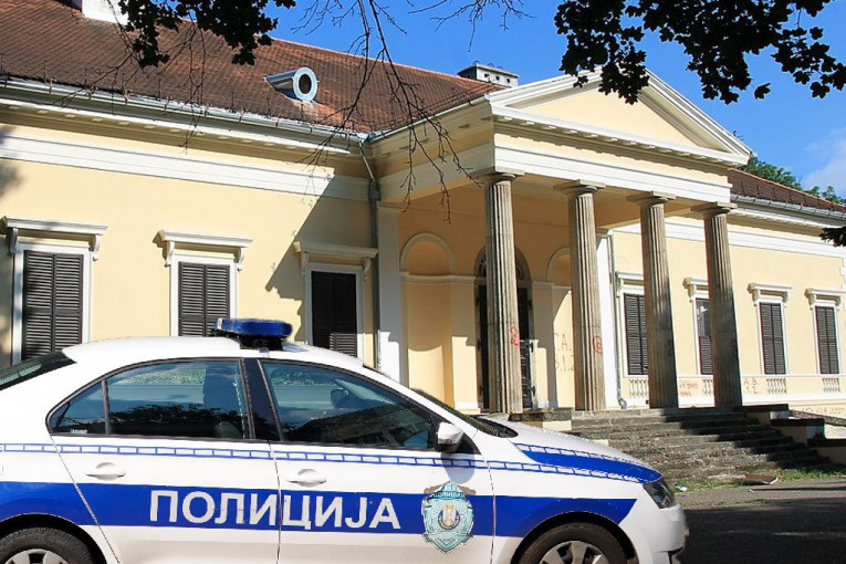 PRELEPE VESTI! U Srbiju vraćena slika ukradena iz dvorca porodice ...