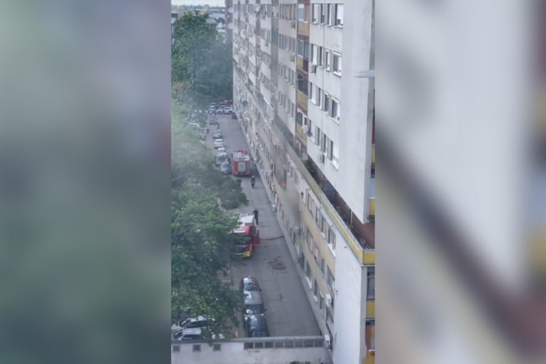 PRVI SNIMCI POŽARA U NOVOM SADU: Gori stan, crni dim kulja kroz prozore ...