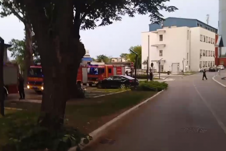 IZGOREO CEO SPRAT U KBC ''DRAGIŠA MIŠOVIĆ!'' Otkriveno šta je uzrok ...
