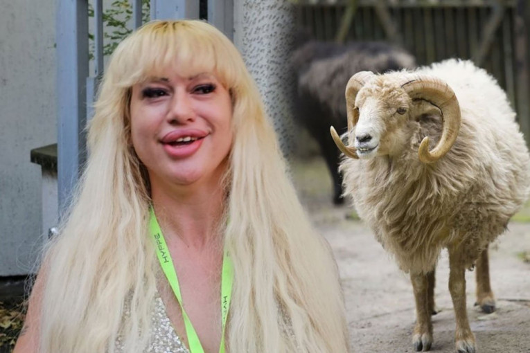 FILMSKA SCENA U FARMI 8! Bojanu Barbi NAPAO ovan, a OVA učesnica pala ...