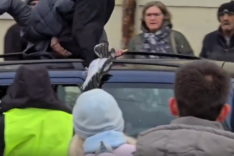 OVAKO JE UHAPŠEN BAHATI VOZAČ! Određeno zadržavanje muškarcu koji je vozilom udario devojku u ...