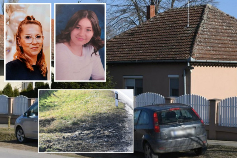 PRETUŽNO! SA MAJKOM I ĆERKOM U KOLIMA IZGOREO I PAS! Deka tek punoletne ...