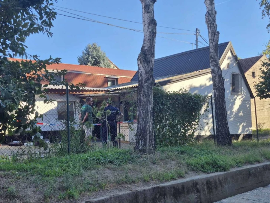 TUKAO DUŠANA DO SMRTI, PA TELO UMOTAO U TEPIH! Jezivi detalji ubistva u Zemunu! Prijatelj žrtve ...