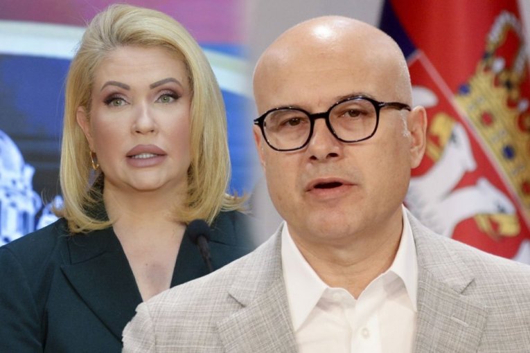 "LEPO SU OBELEŽILI 11 MESECI OD TRAGEDIJE - NAPADOM NA ŽENU"! Miloš ...