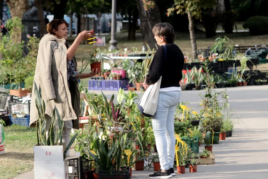 Završen sajam cveća! U parku Manjež raritet paprati kojom su se sladili ...