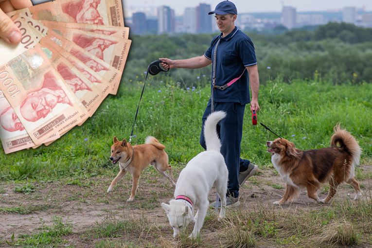 JEDAN SAT RADA DNEVNO MOŽE DA POKRIJE RAČUNE: Dodatni posao koji osvaja ...